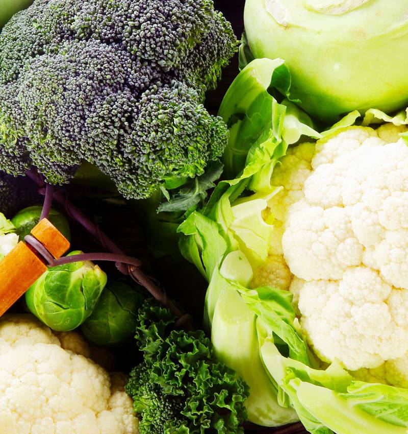 Che cavolo vuoi | Pomi International