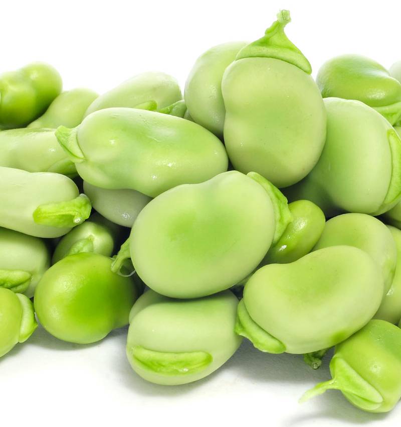 Capire una fava è già qualcosa | Pomi Italia