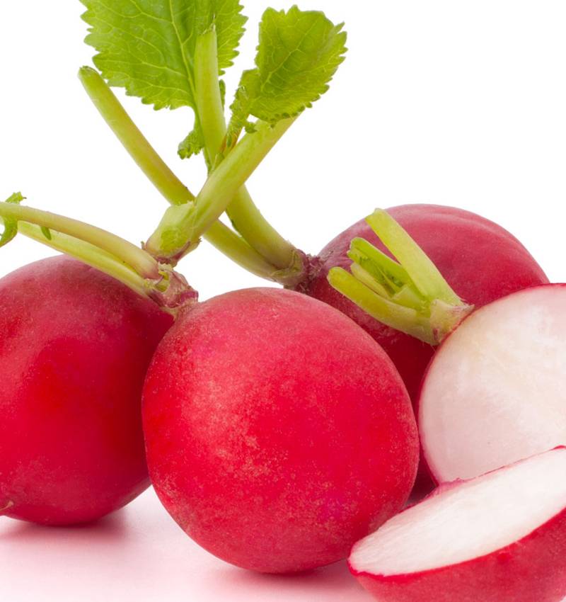 Orto in casa? Un ravanello è per sempre | Pomi International